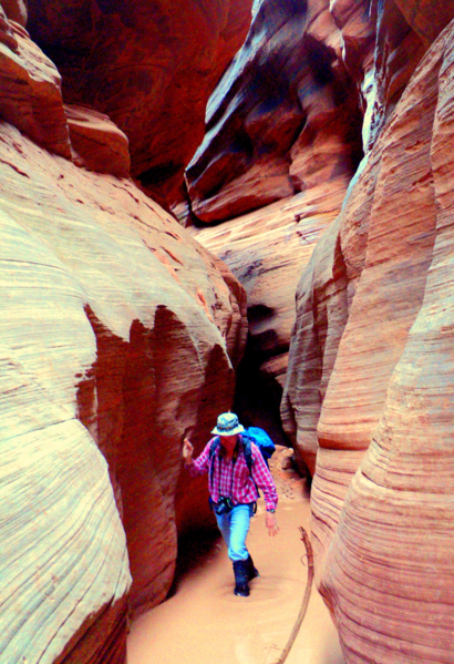 David Land - Official Website